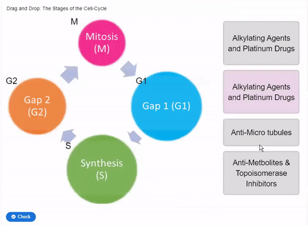 FMS Examples – H5P.com